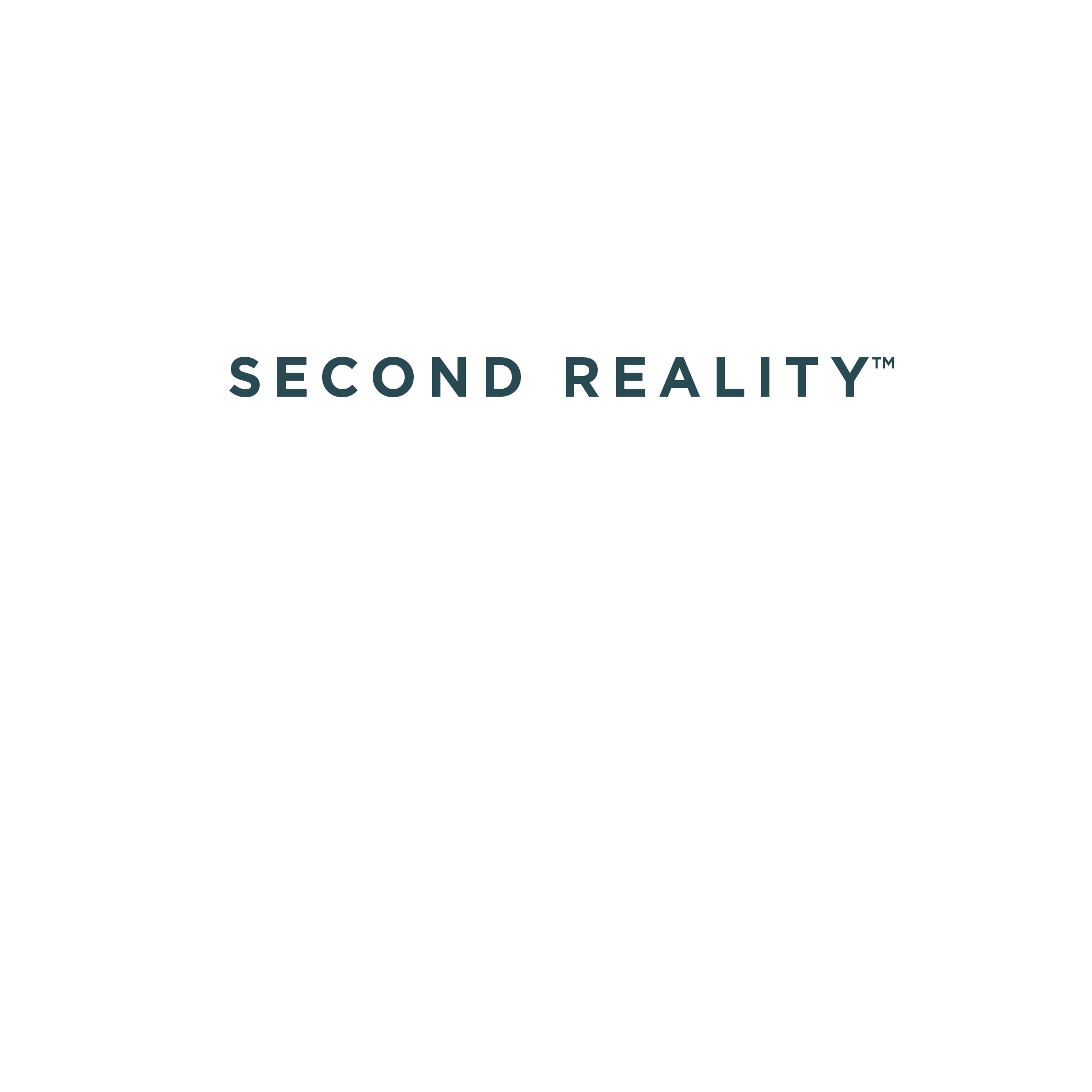 Second Reality™